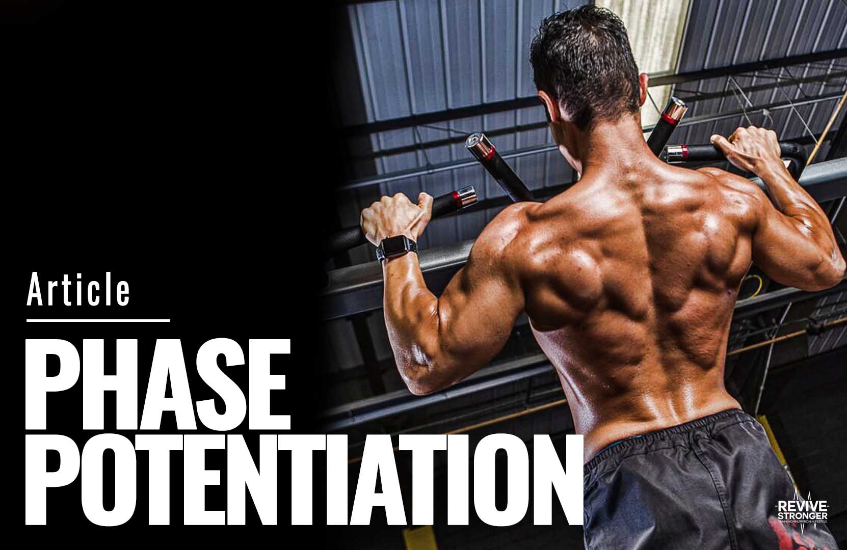 The Bigger The Base, The Bigger The Peak (Phase Potentiation) – Revive ...