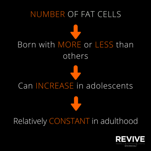Does the 'Fat Gene' exist? – Revive Stronger