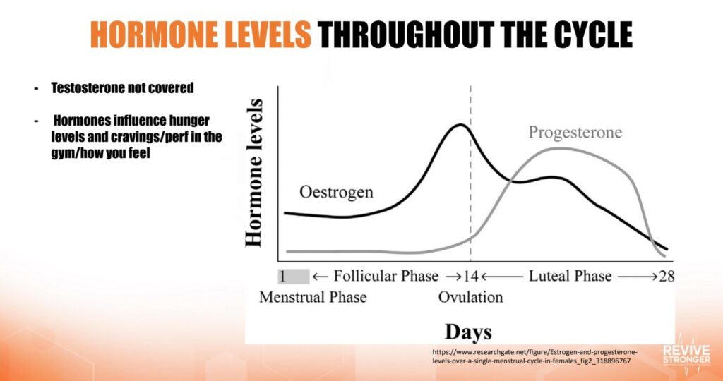 The Menstrual Cycle And Its Implications For Bodybuilding - Jess ...