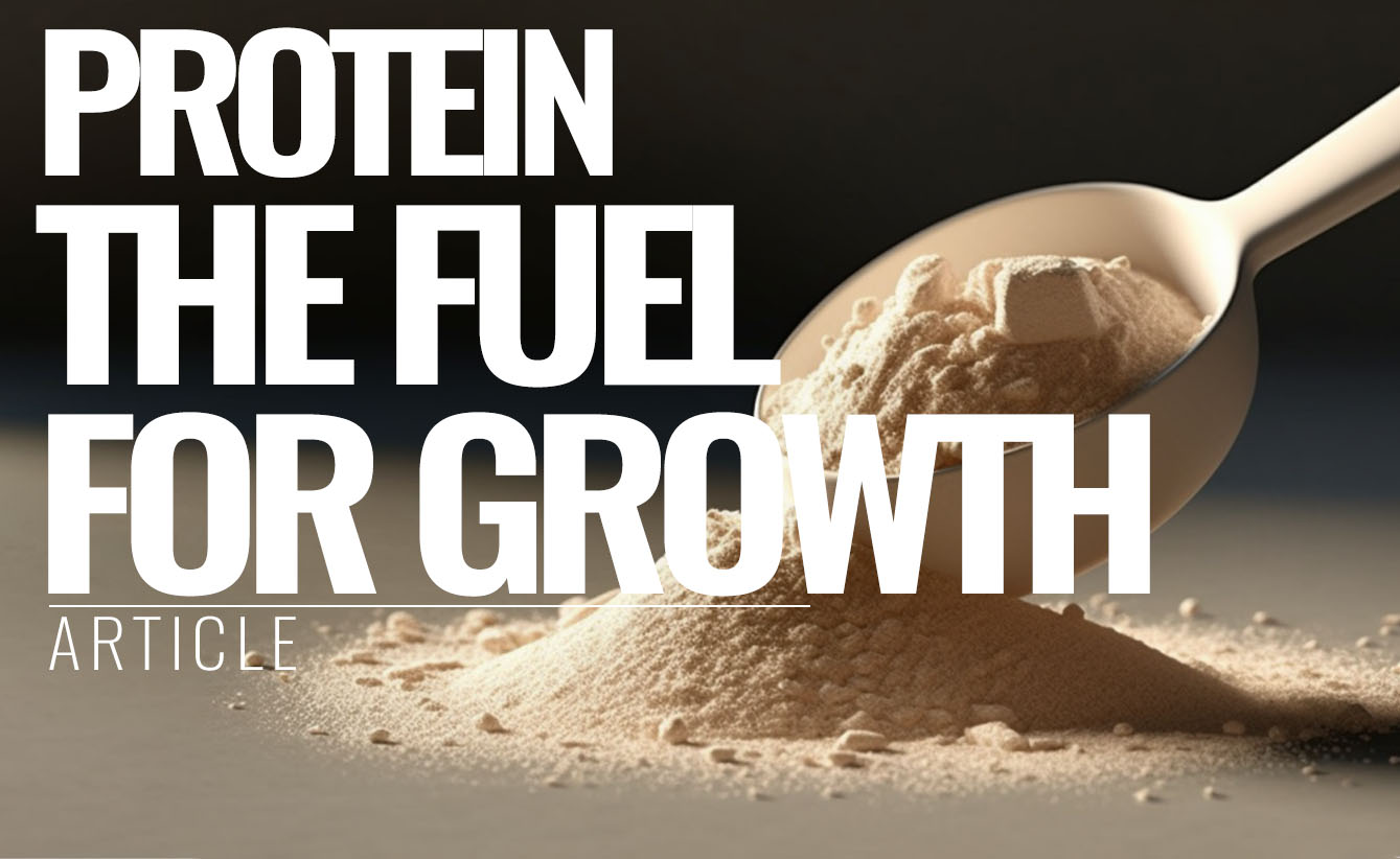 Protein: The Vessel for Growth – Revive Stronger